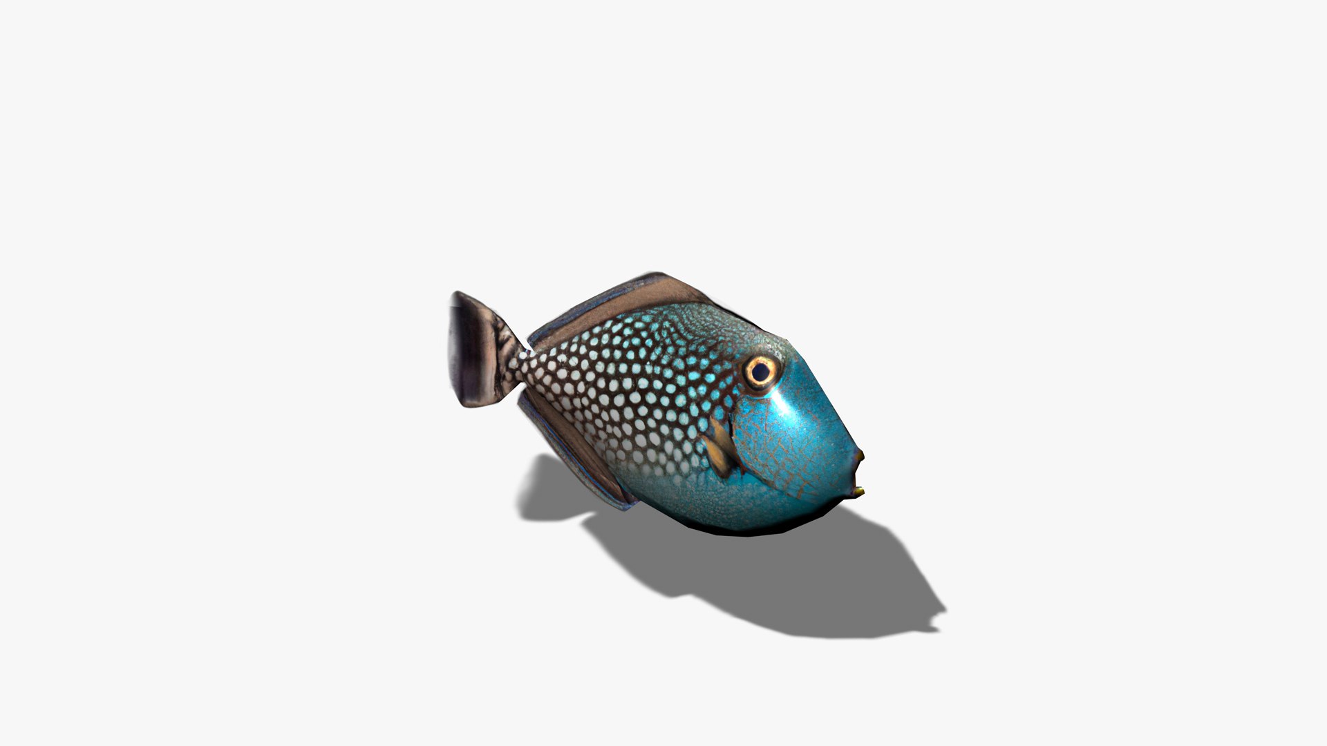 20 Animated Low Poly Fish 3D - TurboSquid 2129739