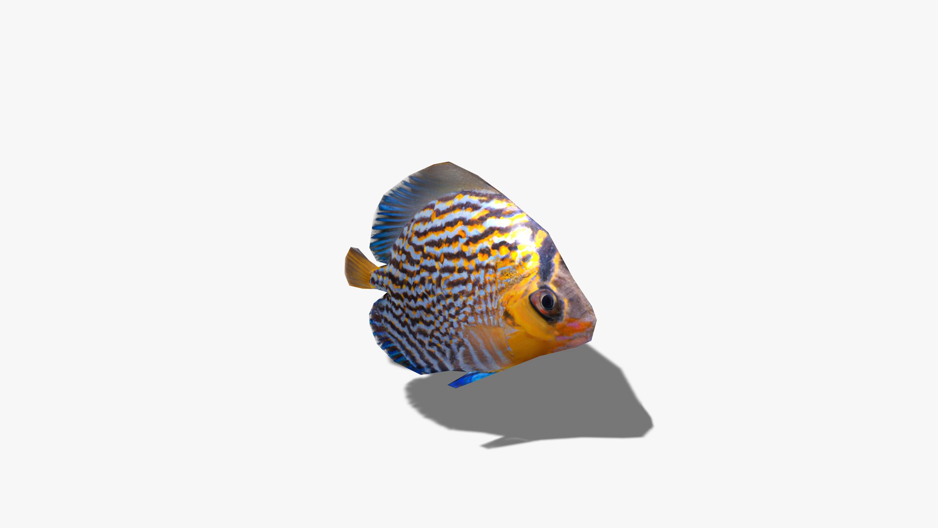 20 Animated Low Poly Fish 3D - TurboSquid 2129739
