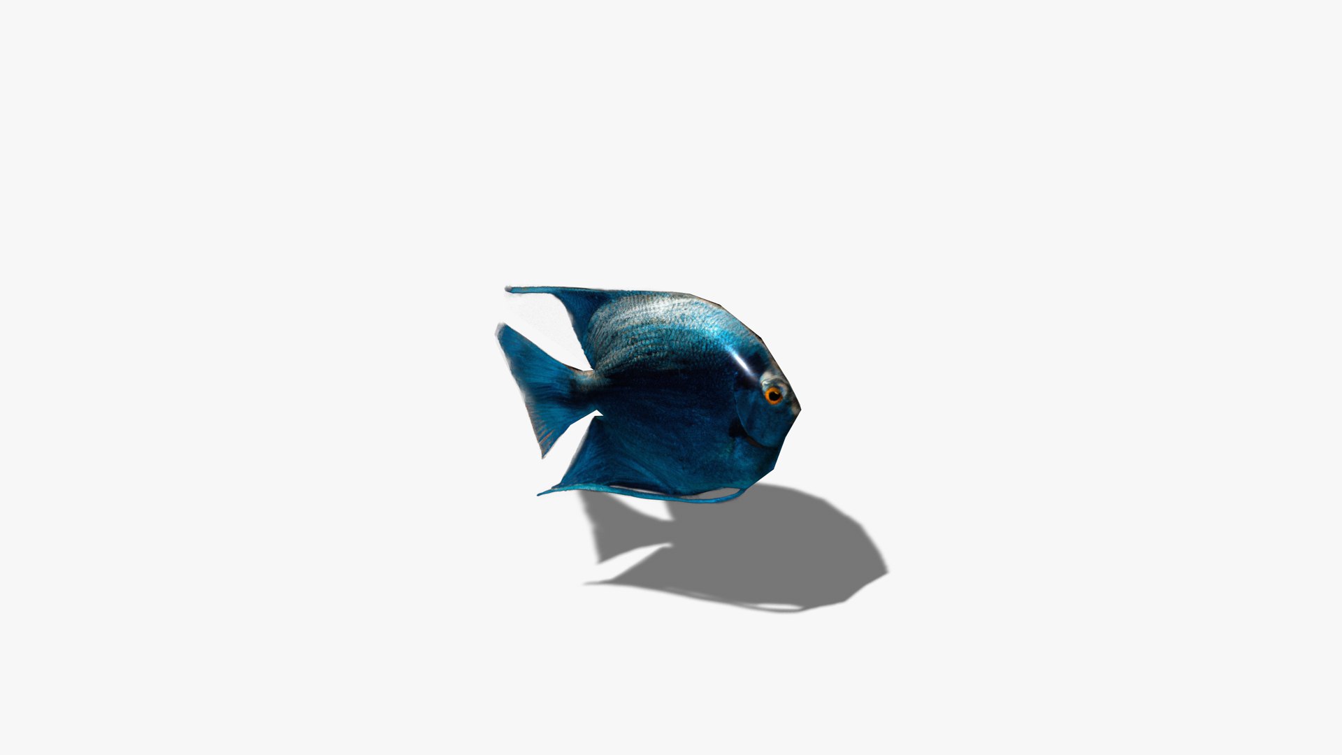 20 Animated Low Poly Fish 3D - TurboSquid 2129739