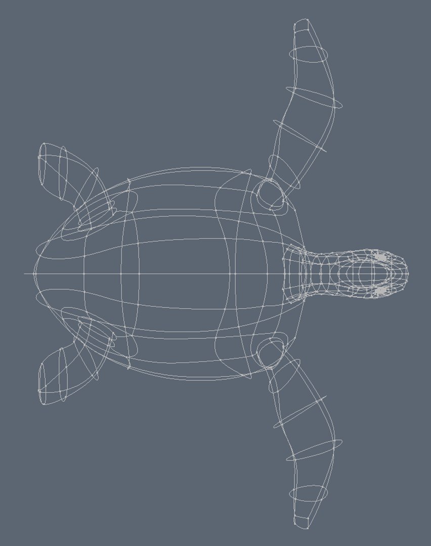 3d Sea Turtle