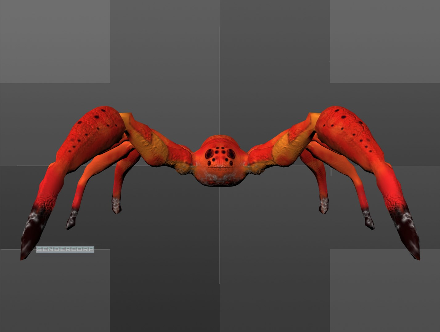 3D Spider Model - TurboSquid 620491