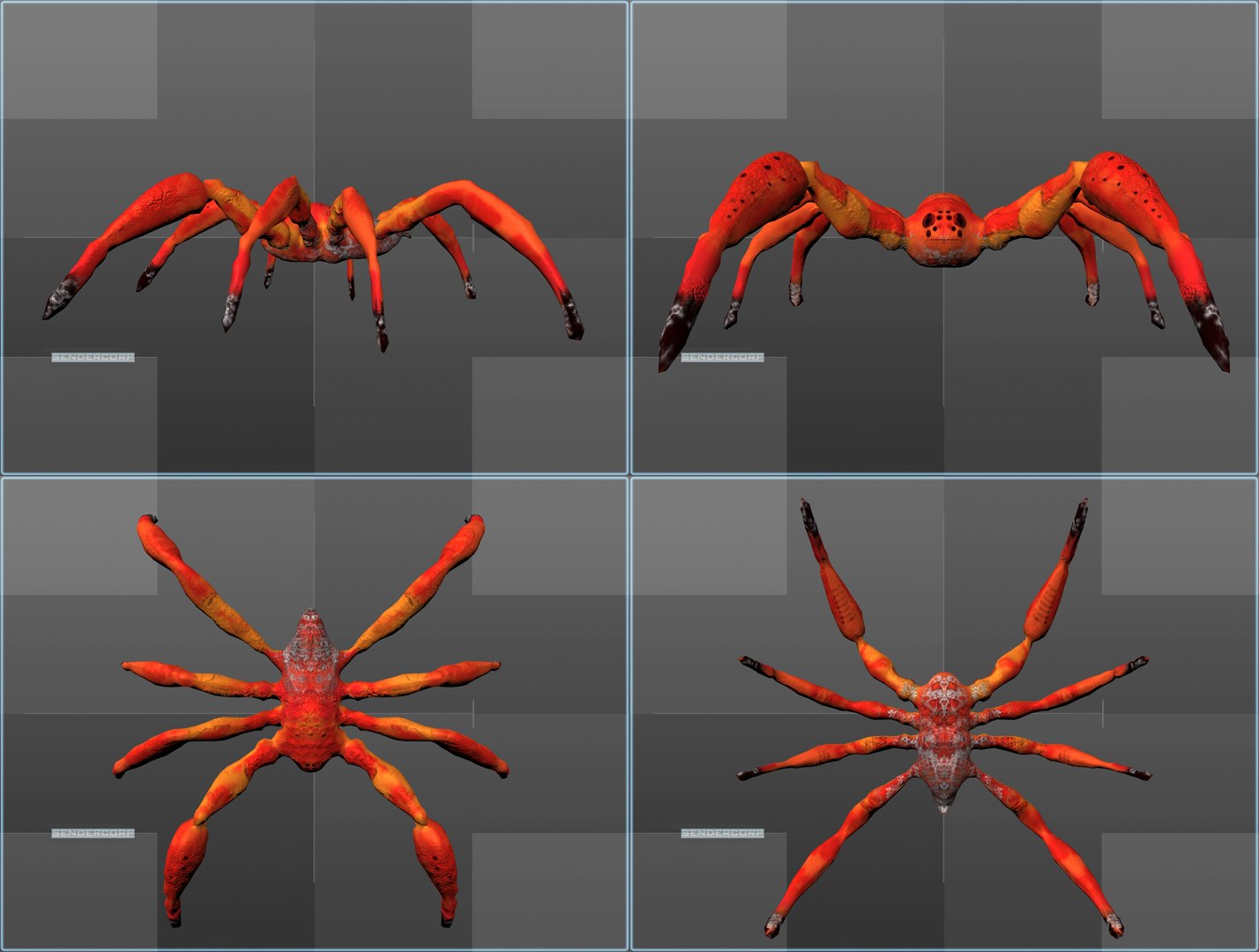 3D Spider Model - TurboSquid 620491