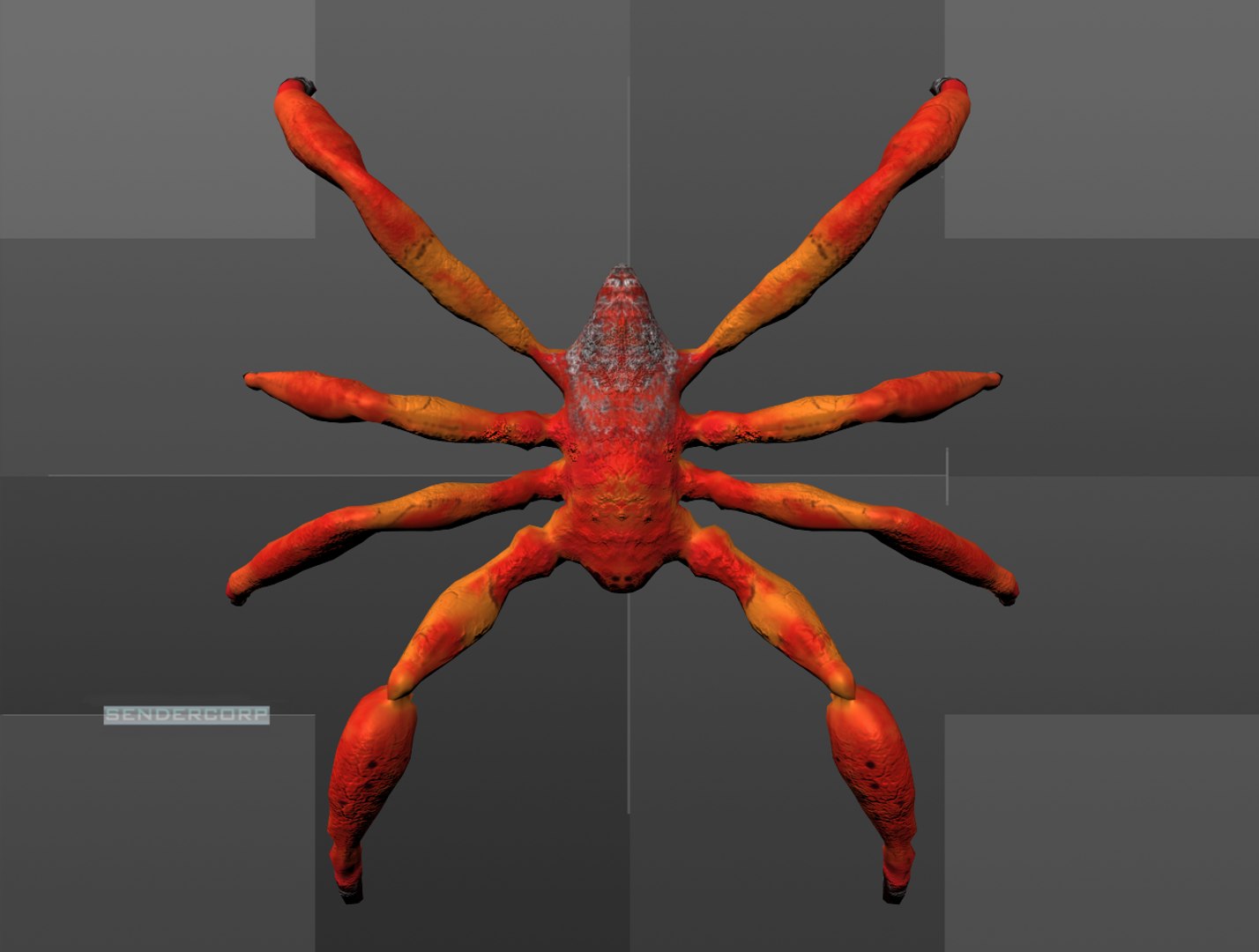 3D Spider Model - TurboSquid 620491