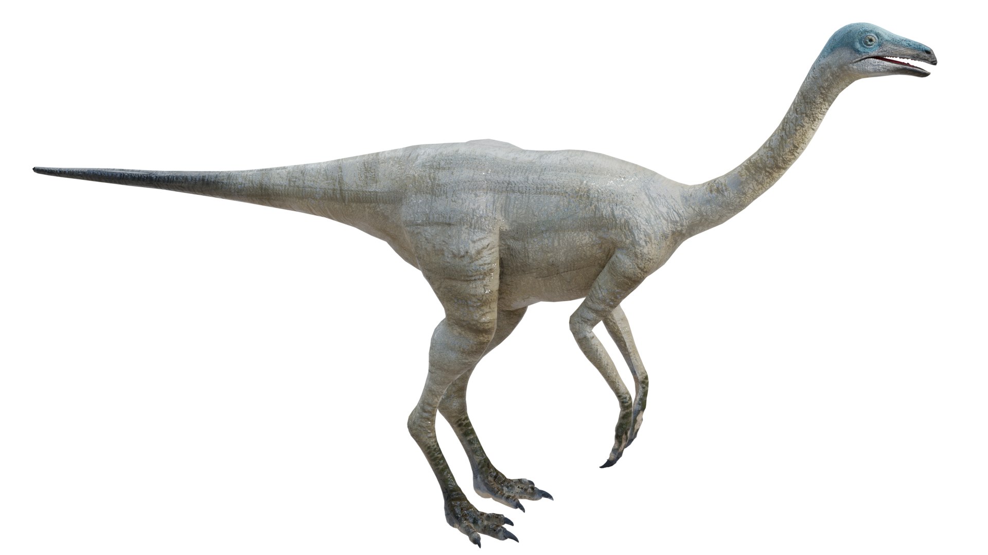 3D Model Struthiomimus - TurboSquid 1979192