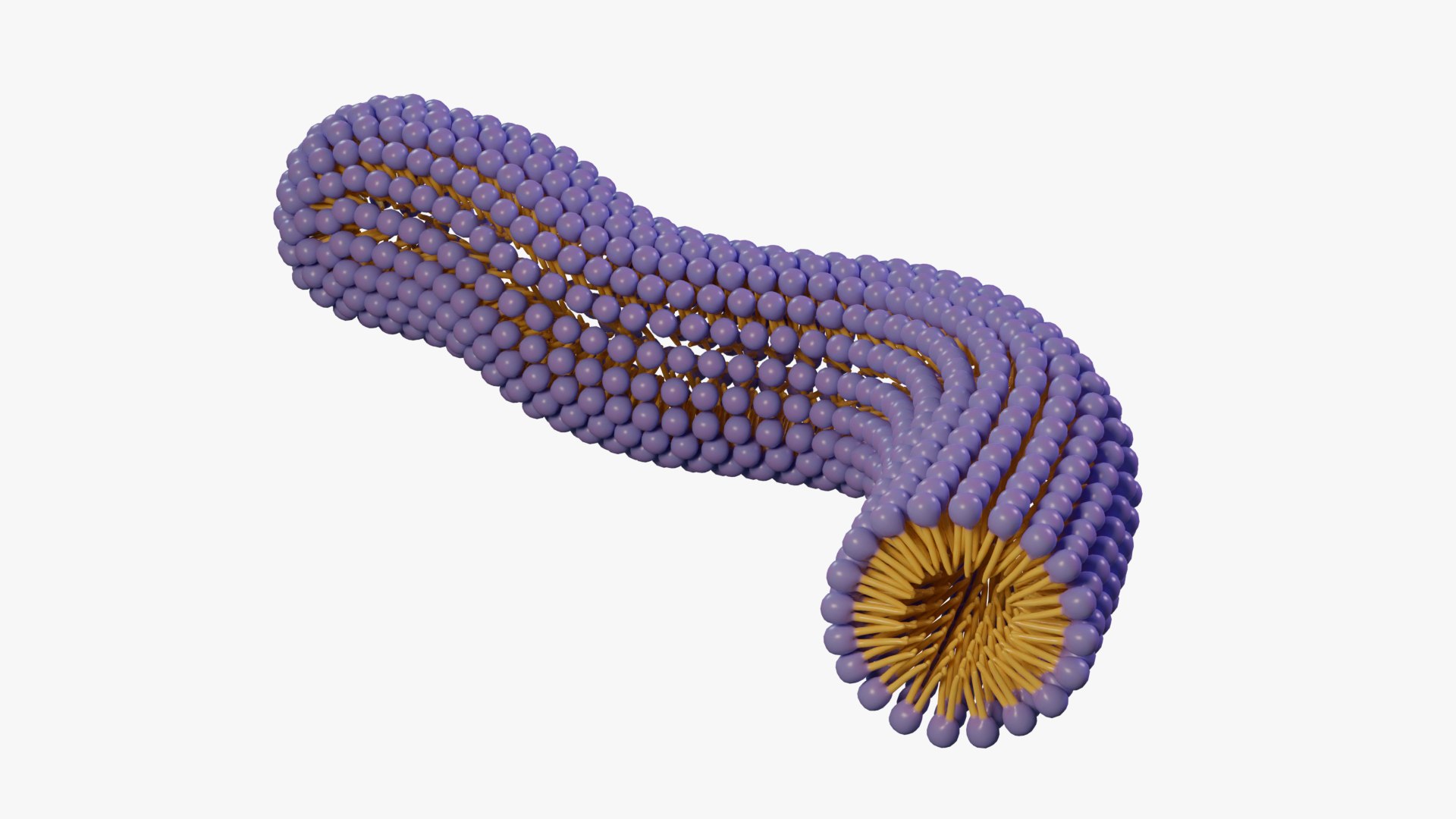 Wormlike micelle3D模型 - TurboSquid 1921128