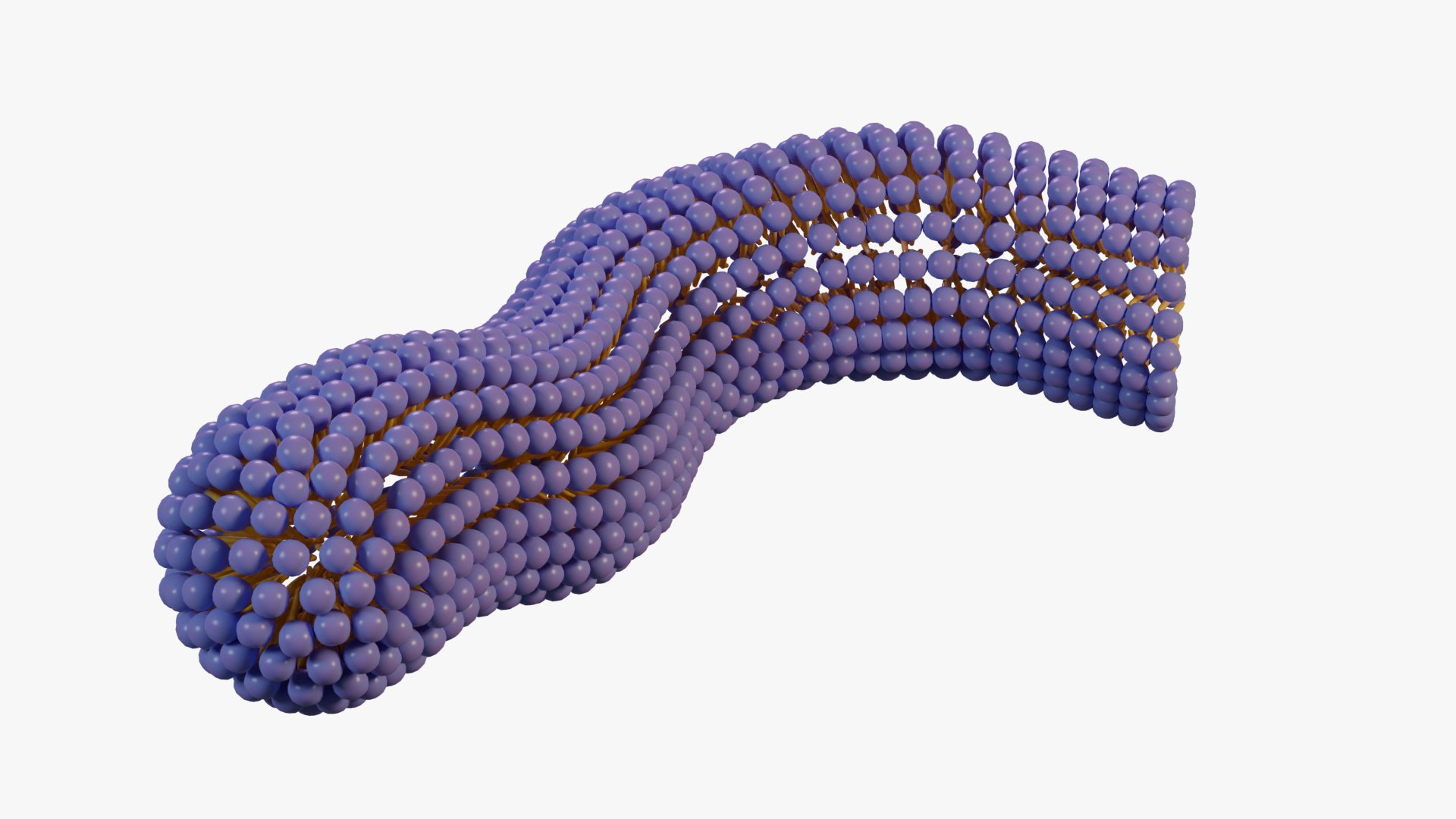 3D Wormlike Micelle - TurboSquid 1921128