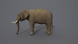 Elephant Blender Models for Download | TurboSquid