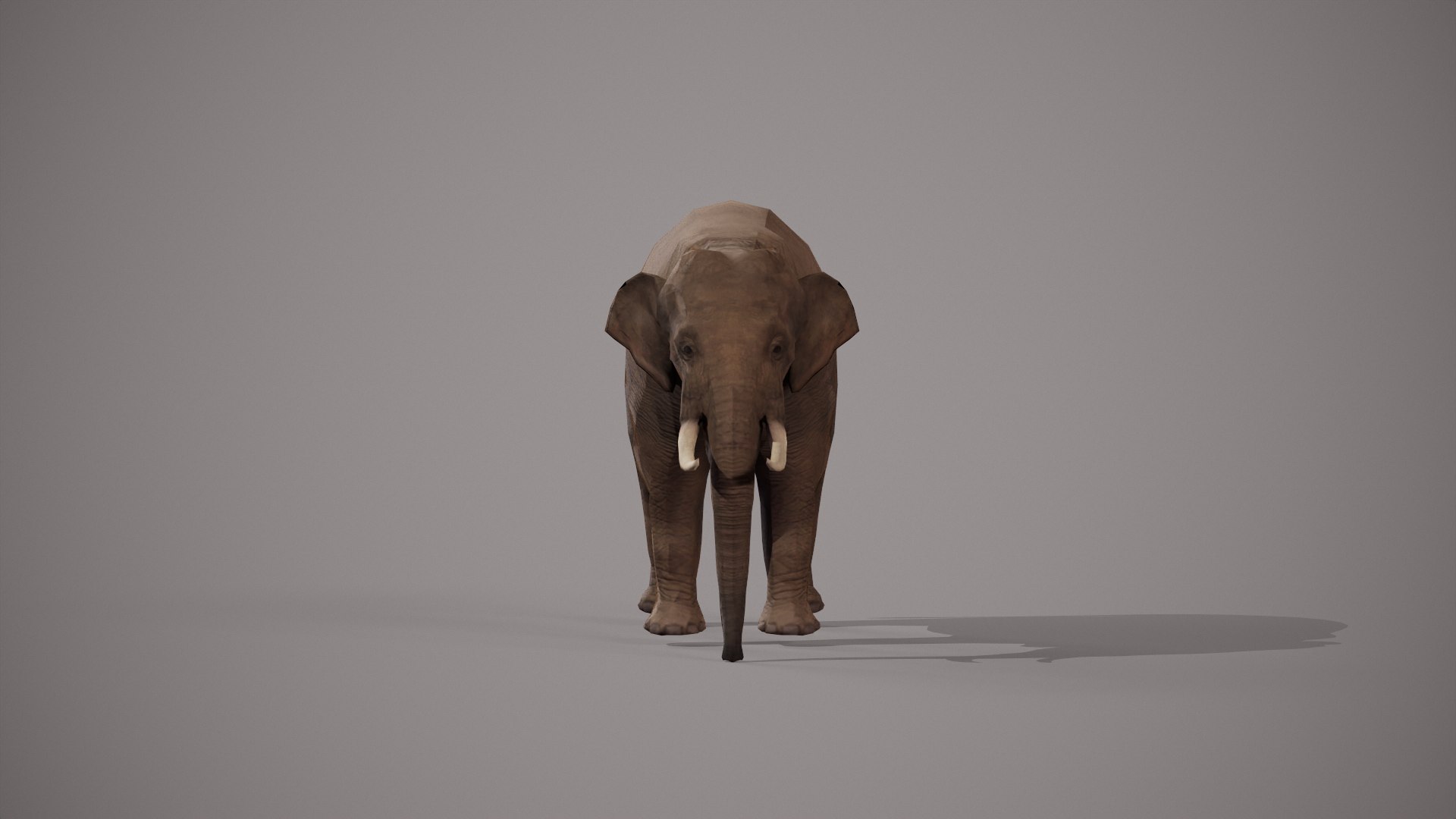 3D African Elephant Model - TurboSquid 1986674