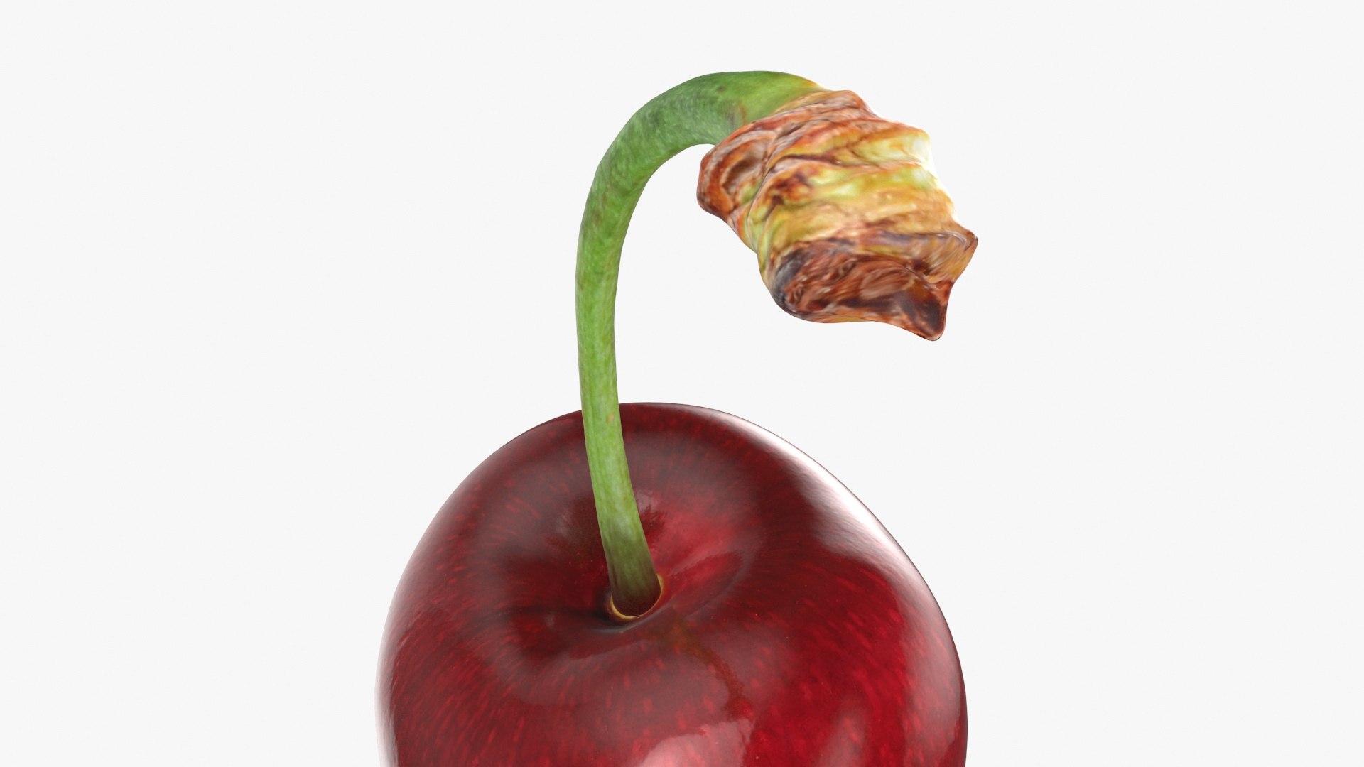 Cherry 05 Model - TurboSquid 2233704