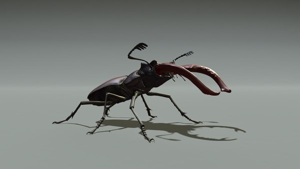 3d model scarab beetle