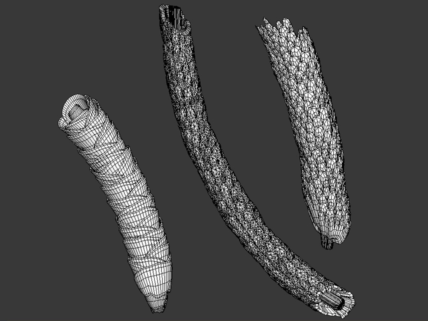 Dust 3D Model - TurboSquid 1491746