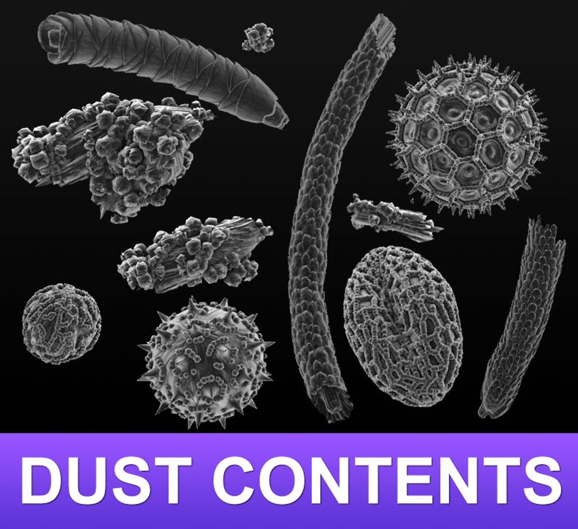 Dust 3D Model - TurboSquid 1491746