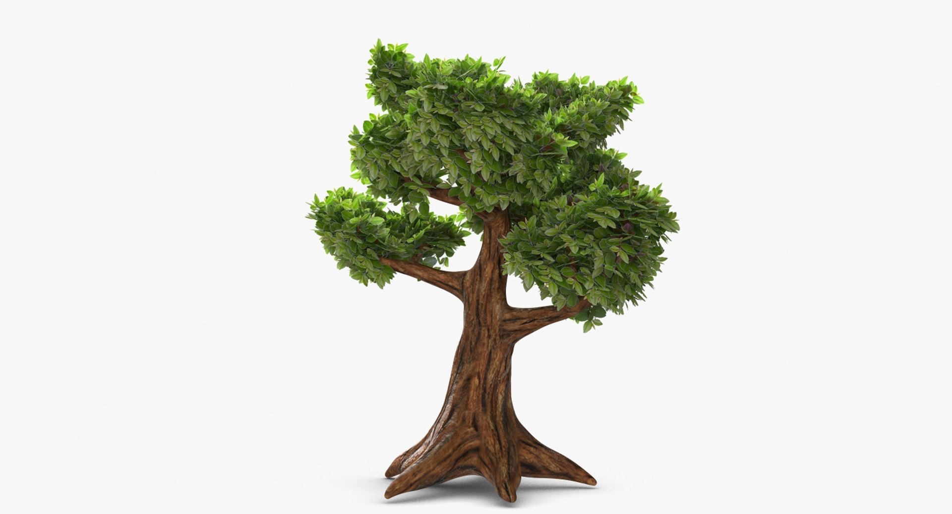Old Cartoon Tree 3d Max