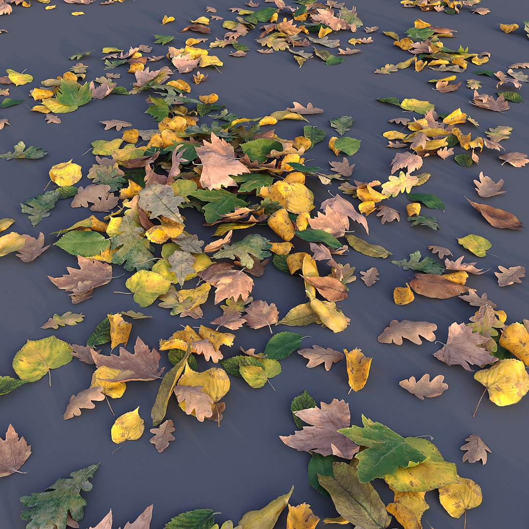 Autumn Leaves 3D - TurboSquid 1792621