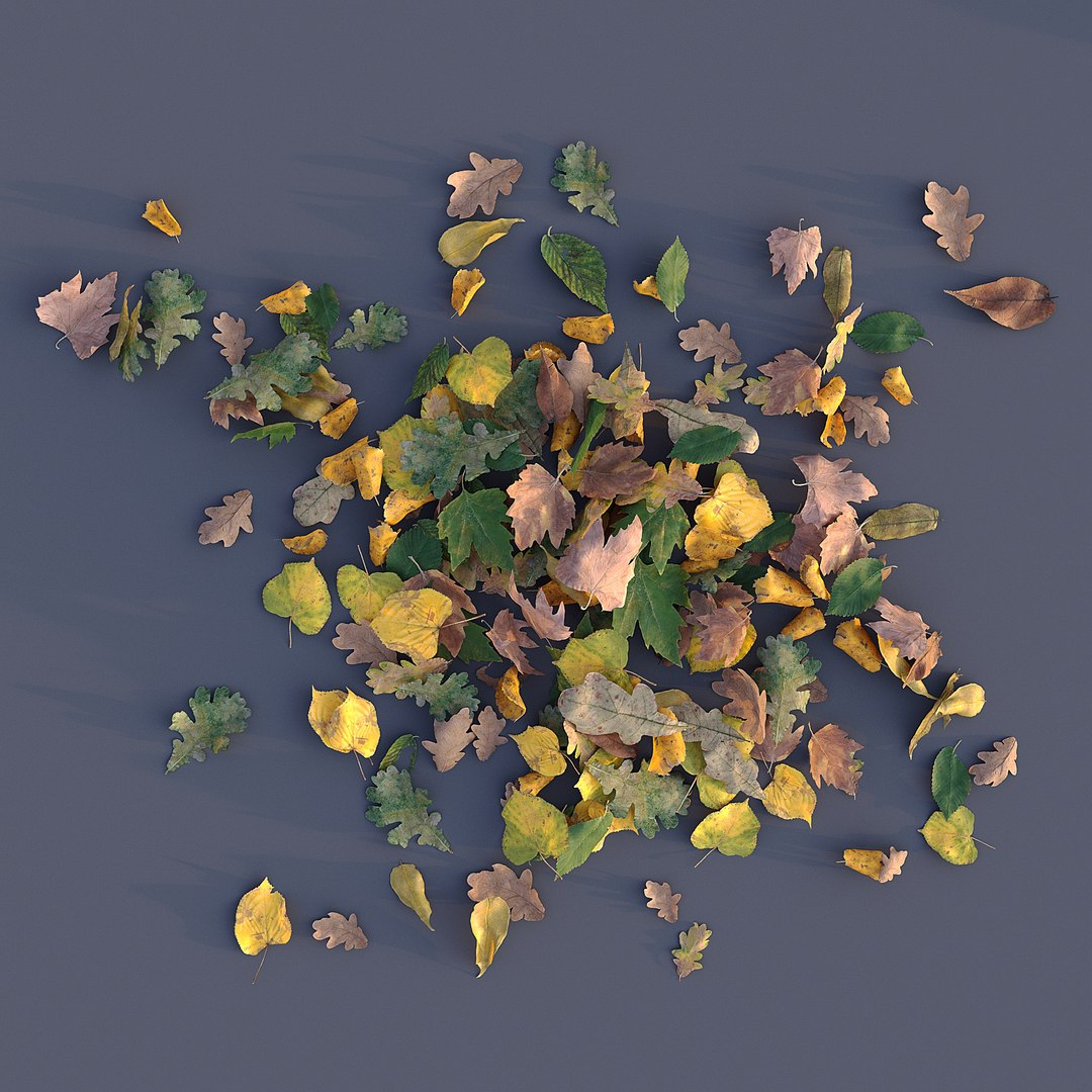 Autumn Leaves 3D - TurboSquid 1792621