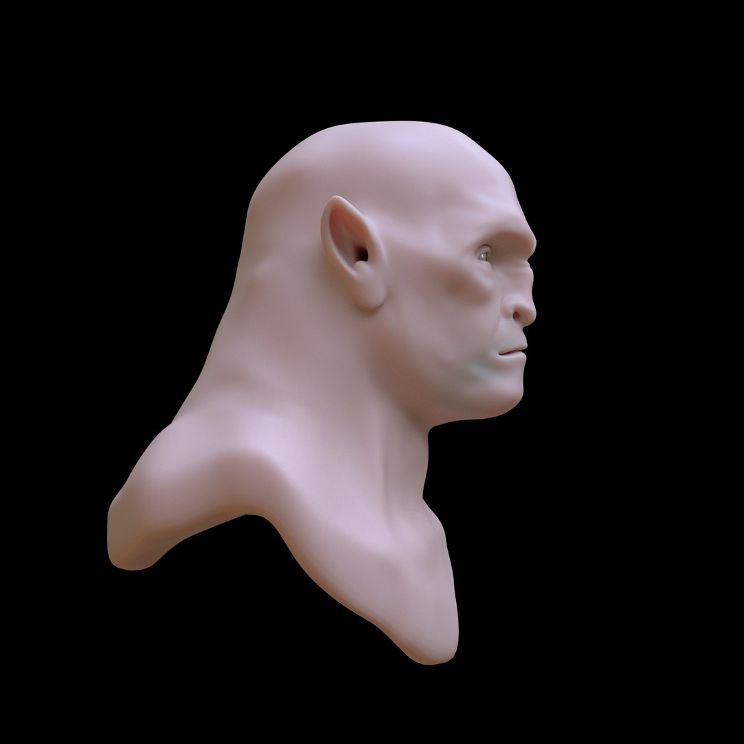 3D Ogre Orc Troll Bust Base Mesh - TurboSquid 1717970