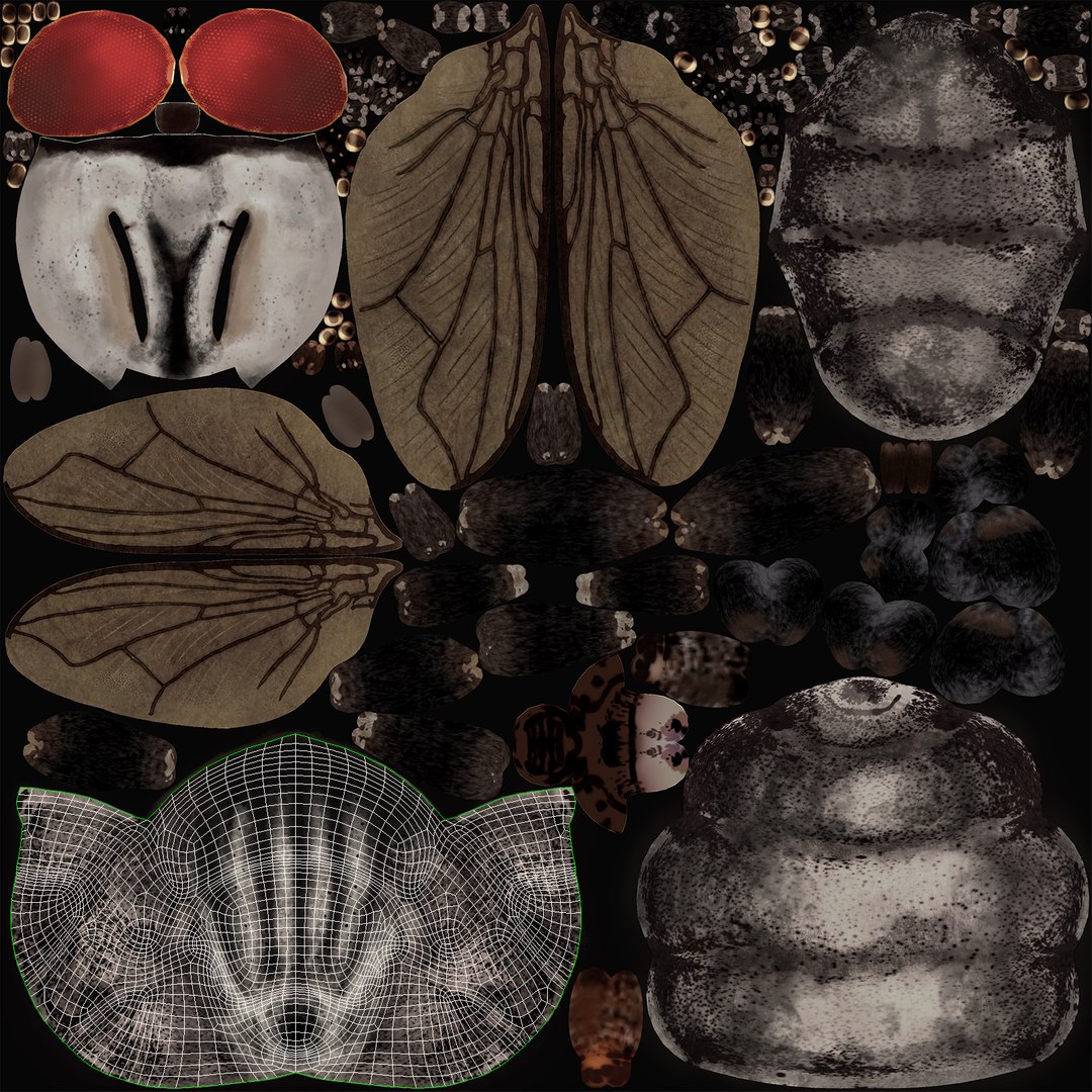 3d standing house fly