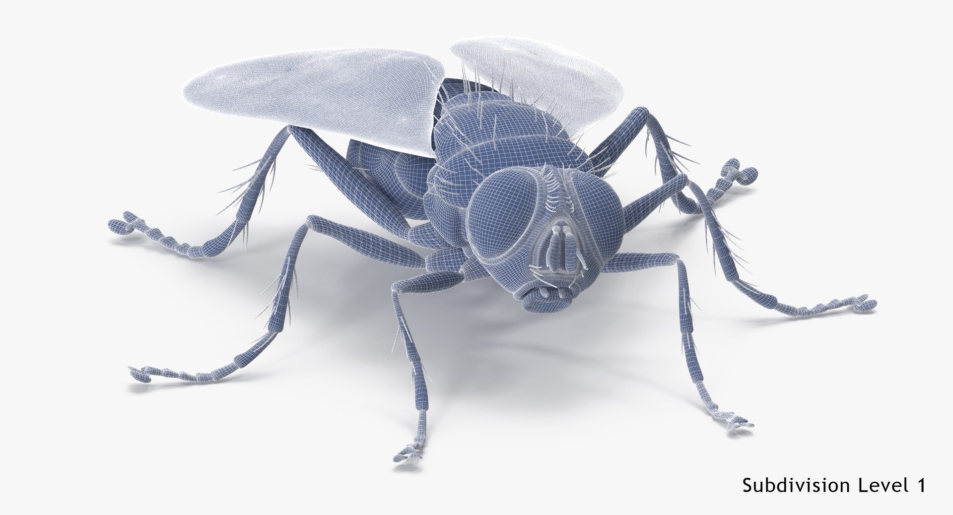 3d standing house fly
