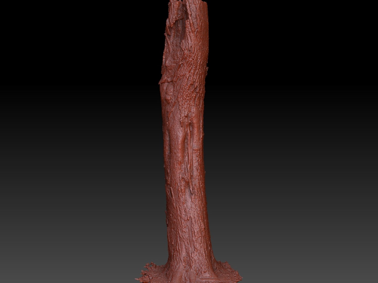 Scan tree 3D - TurboSquid 1197362