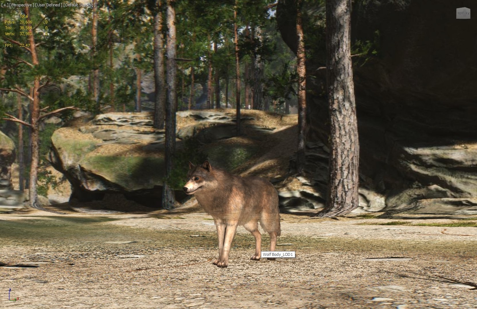 Realistic Wolf 3D Model - TurboSquid 1713911