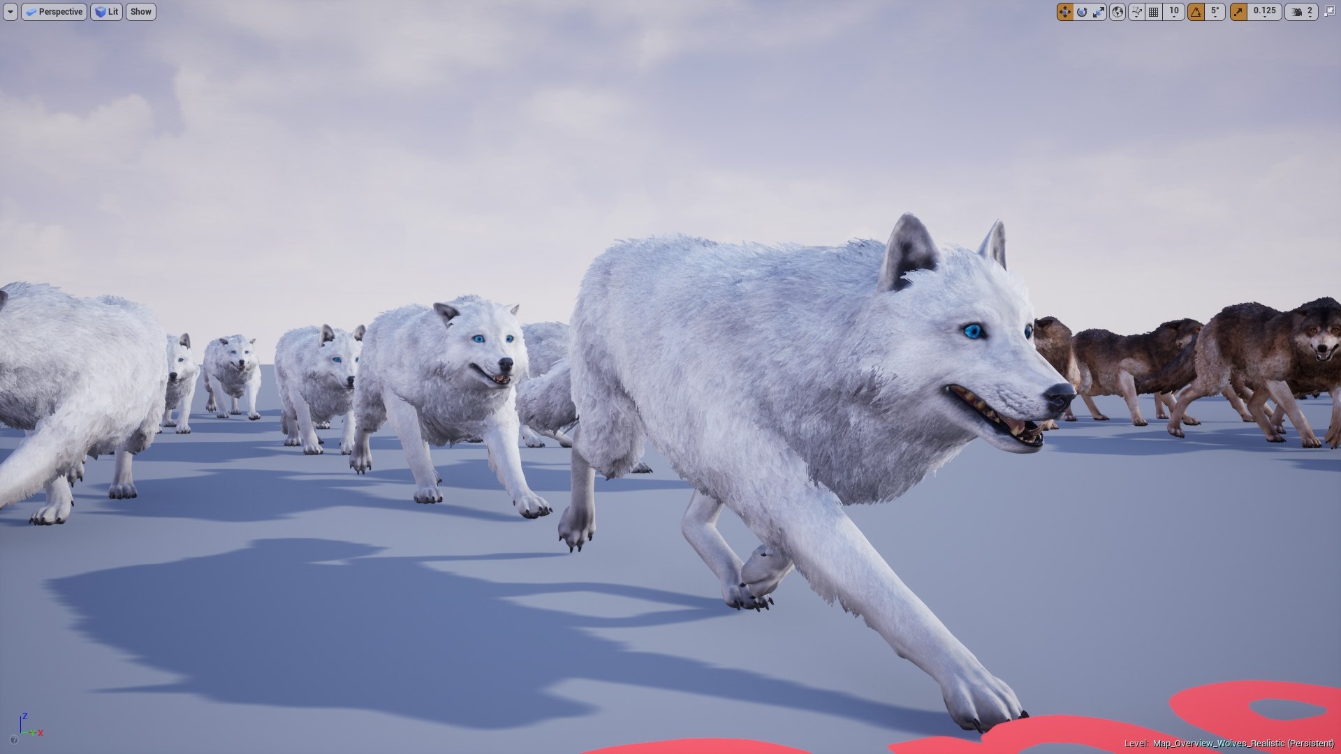 Realistic Wolf 3D Model - TurboSquid 1713911