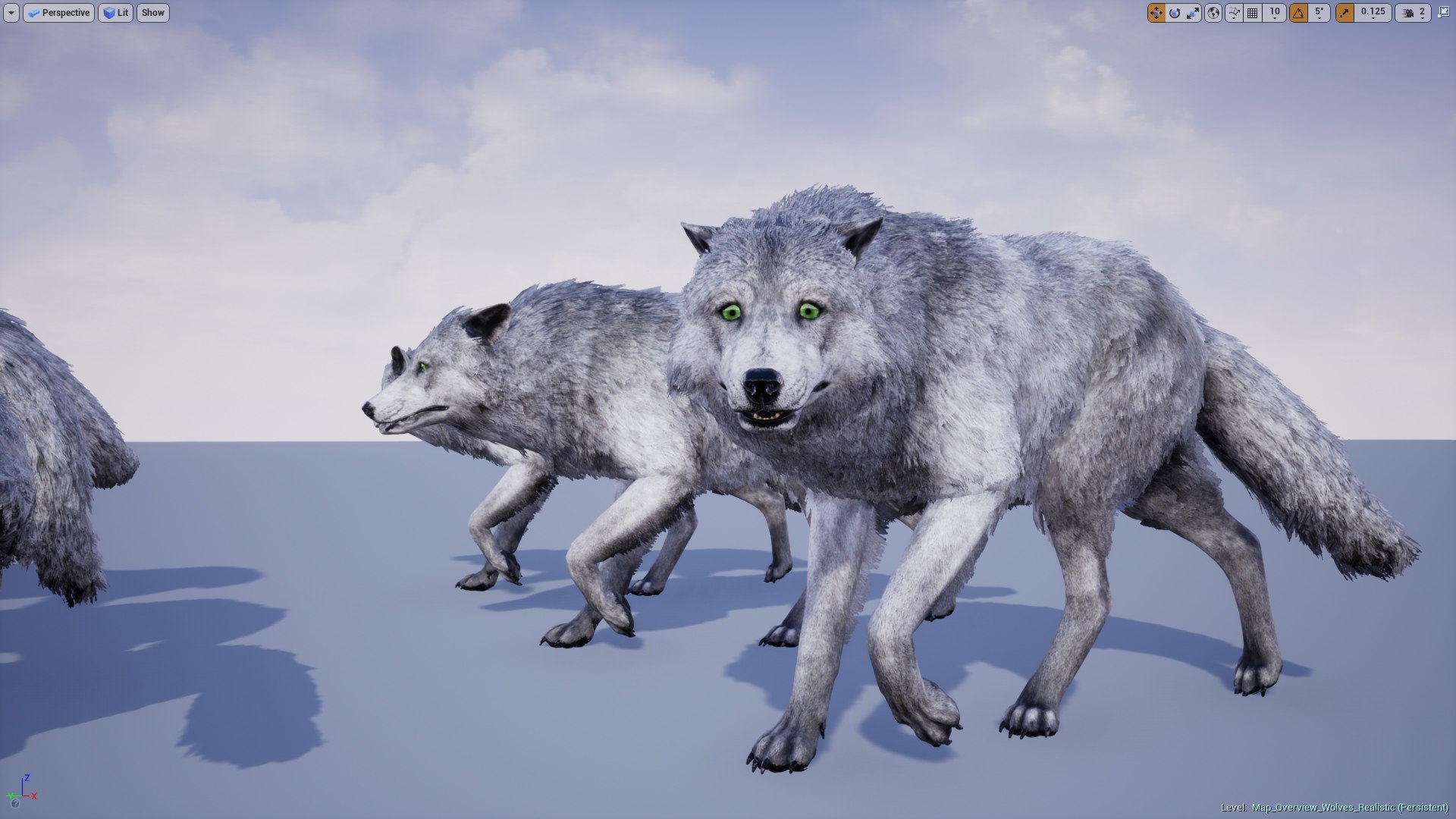 Realistic Wolf 3D Model - TurboSquid 1713911