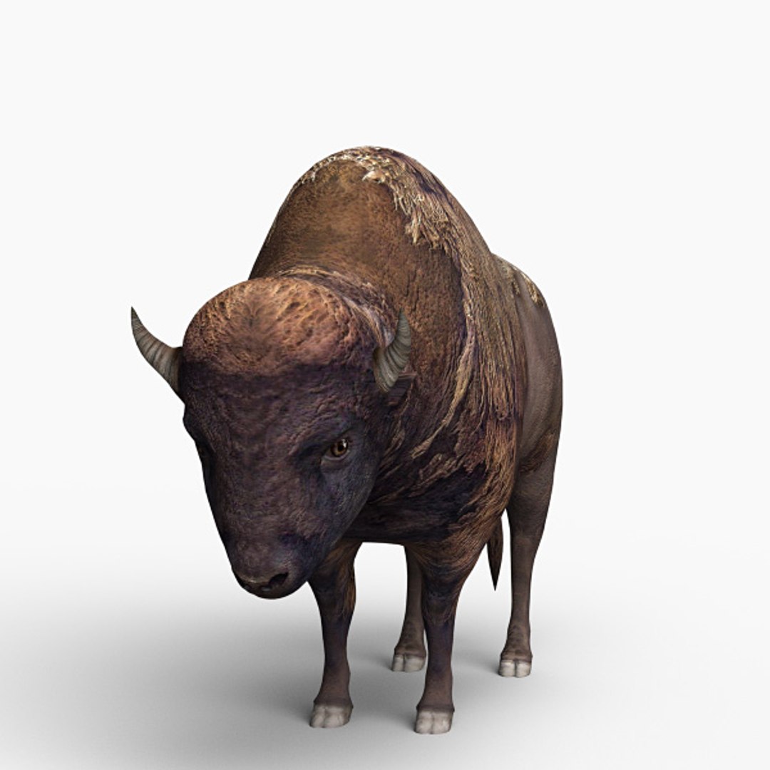 3ds bison