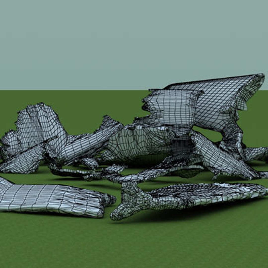 3d Model Crashed Plane