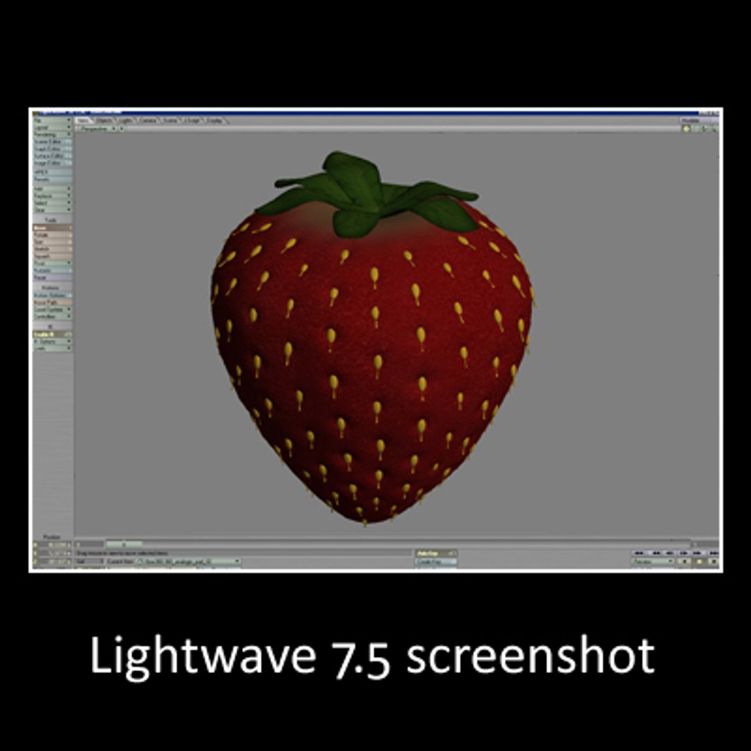 3ds Max Strawberry Berry