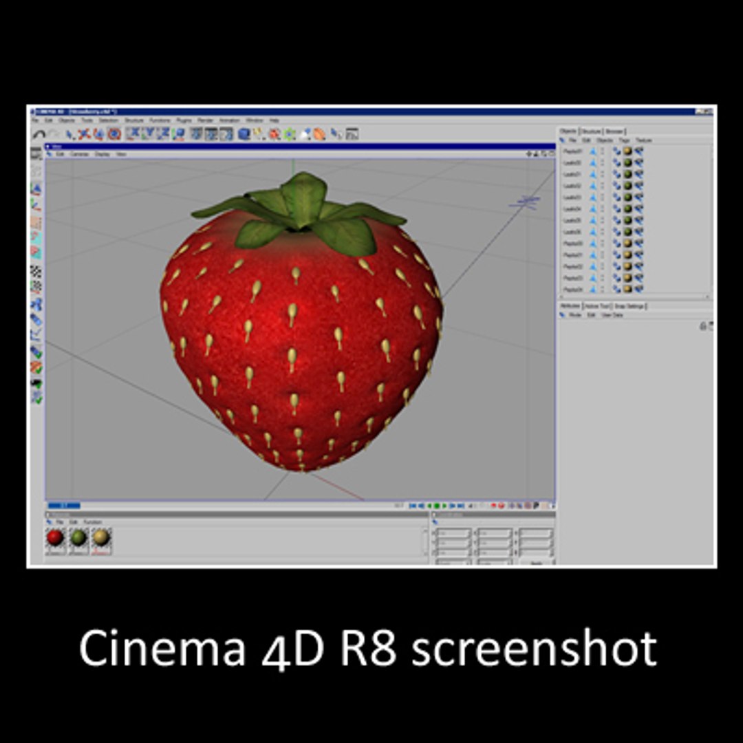 3ds Max Strawberry Berry