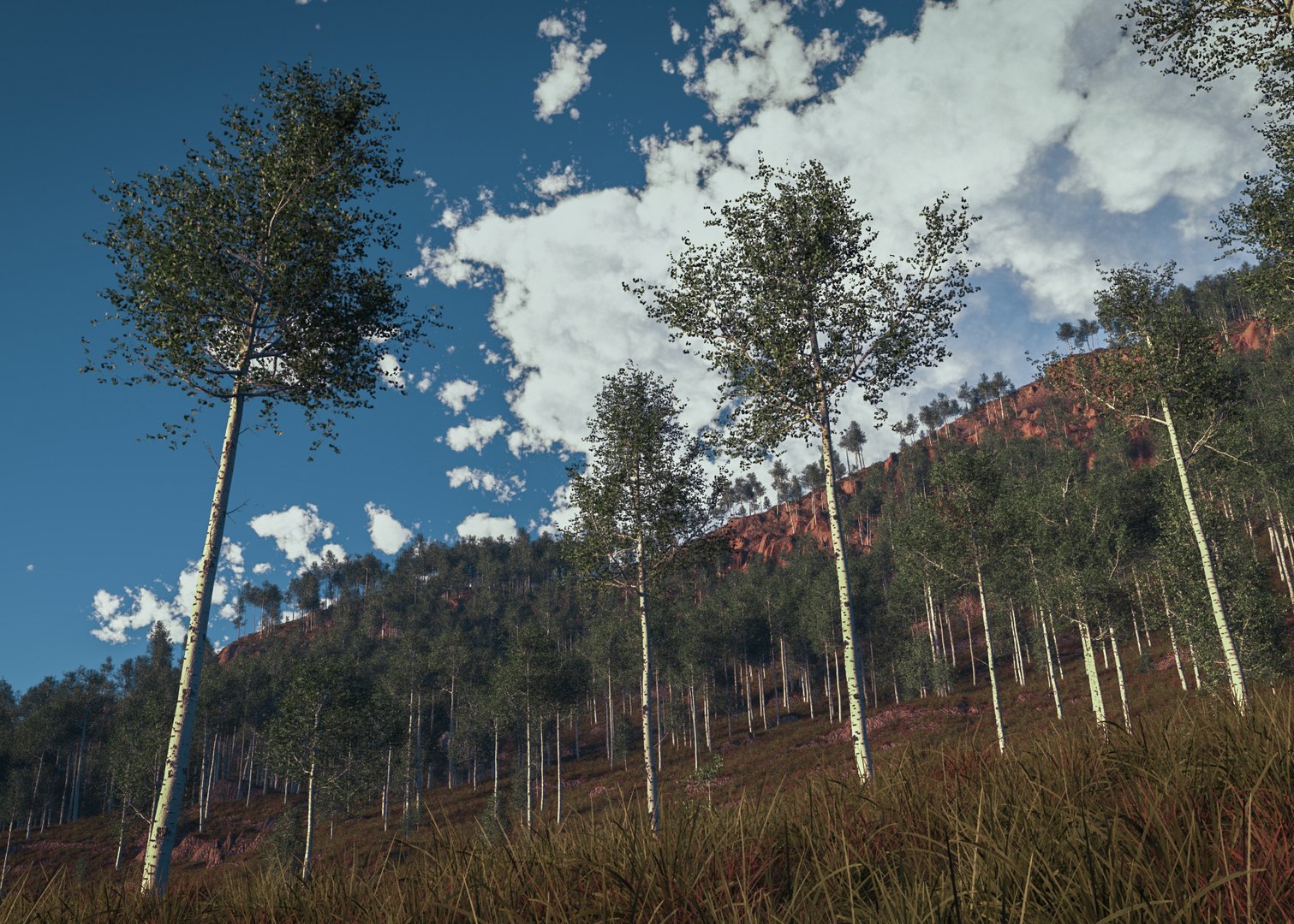 Quaking Aspen Tree Growth Model - TurboSquid 1578708