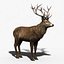red deer stag fur 3d max