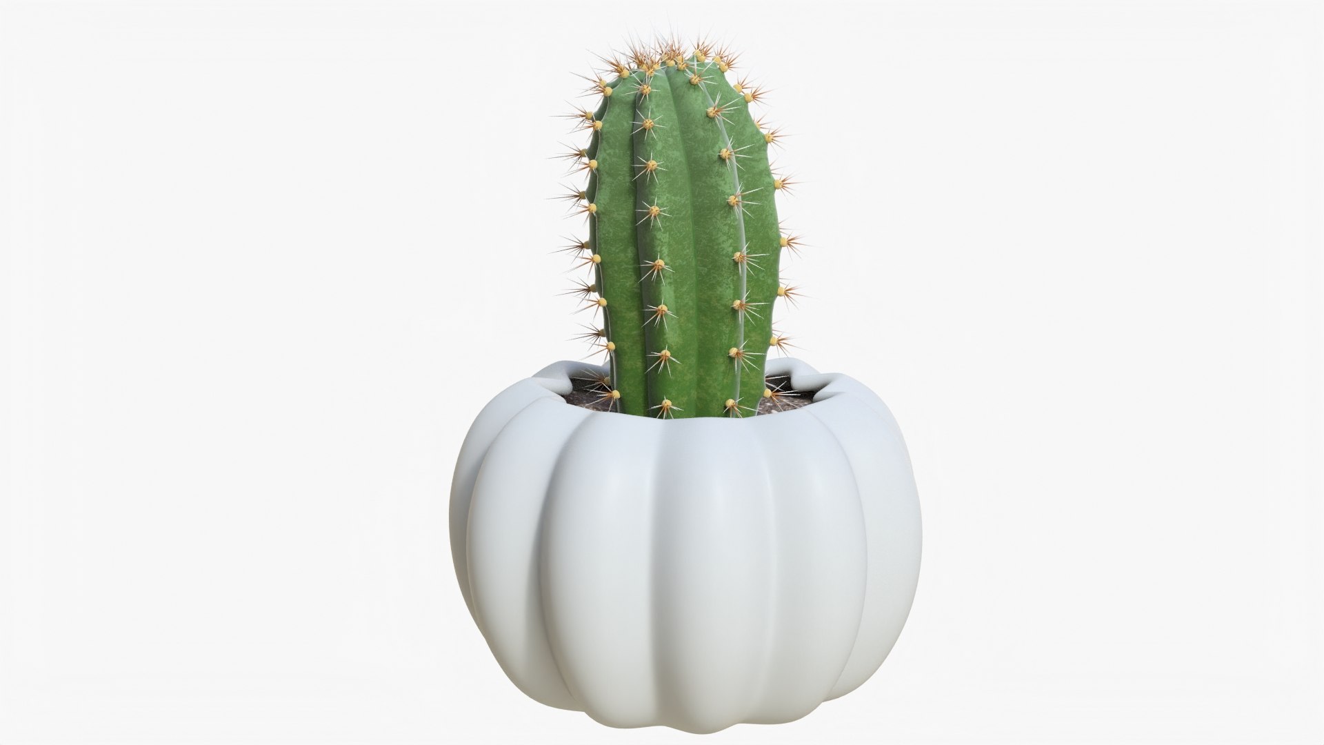 3D Cactus 04 F Model - TurboSquid 1987469