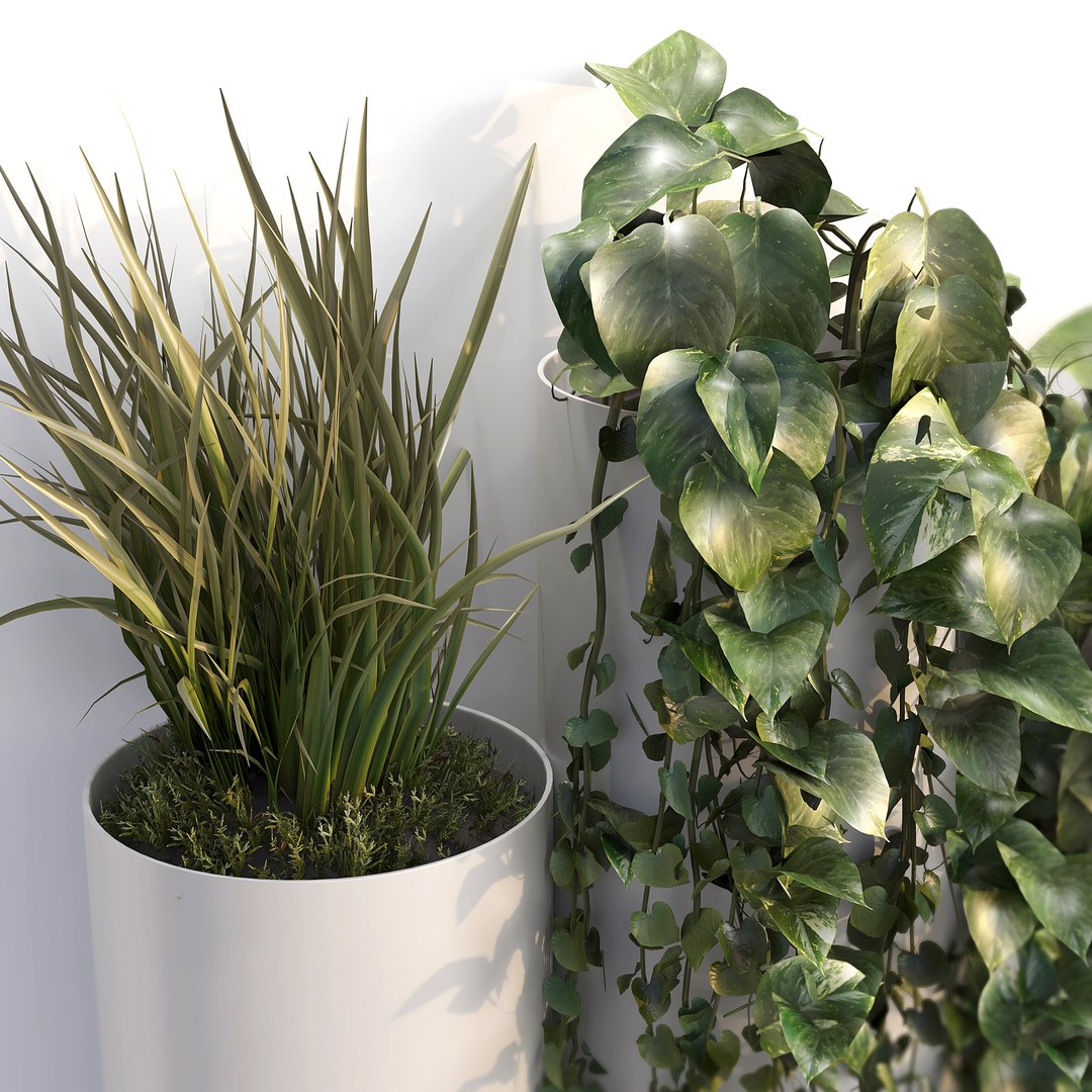 3D Decorative Plant Cylinders - TurboSquid 2067903