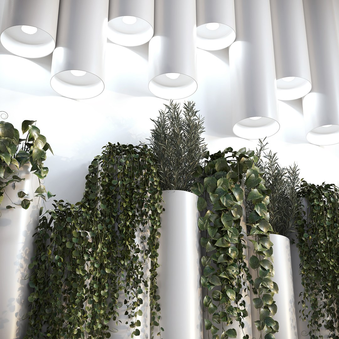 3D Decorative Plant Cylinders - TurboSquid 2067903