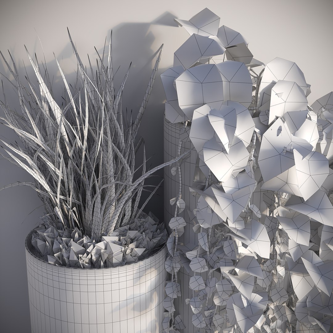 3D Decorative Plant Cylinders - TurboSquid 2067903