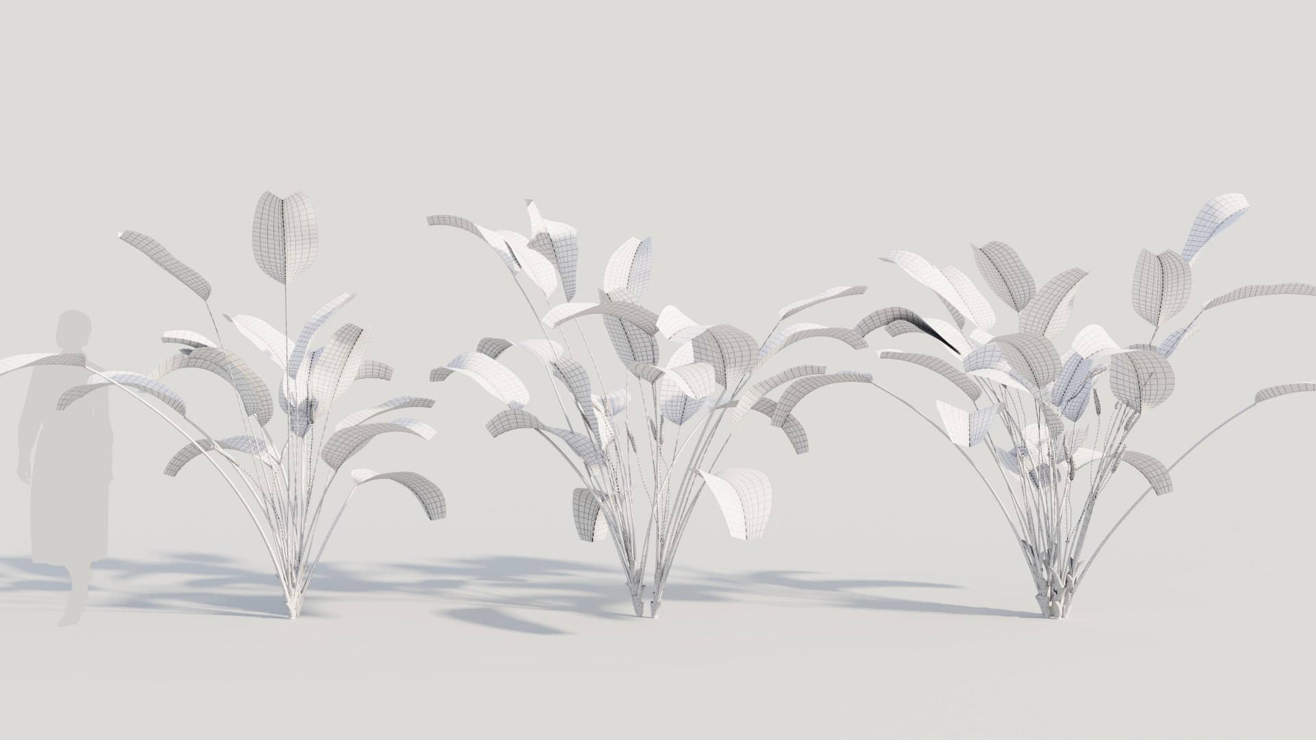 3D Calathea Lutea B - TurboSquid 2178258