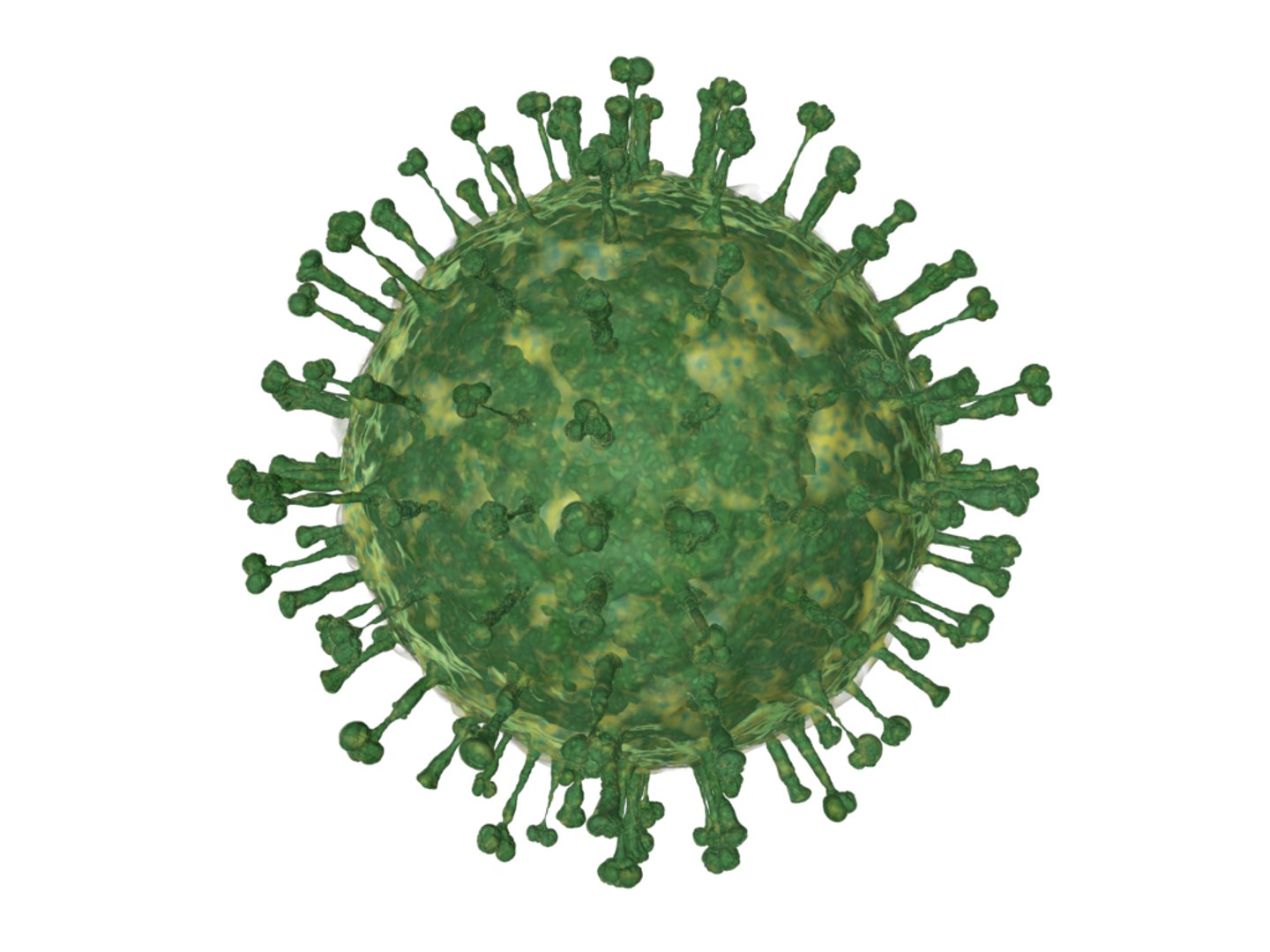 3d Model Influenza Virus Cell Flu