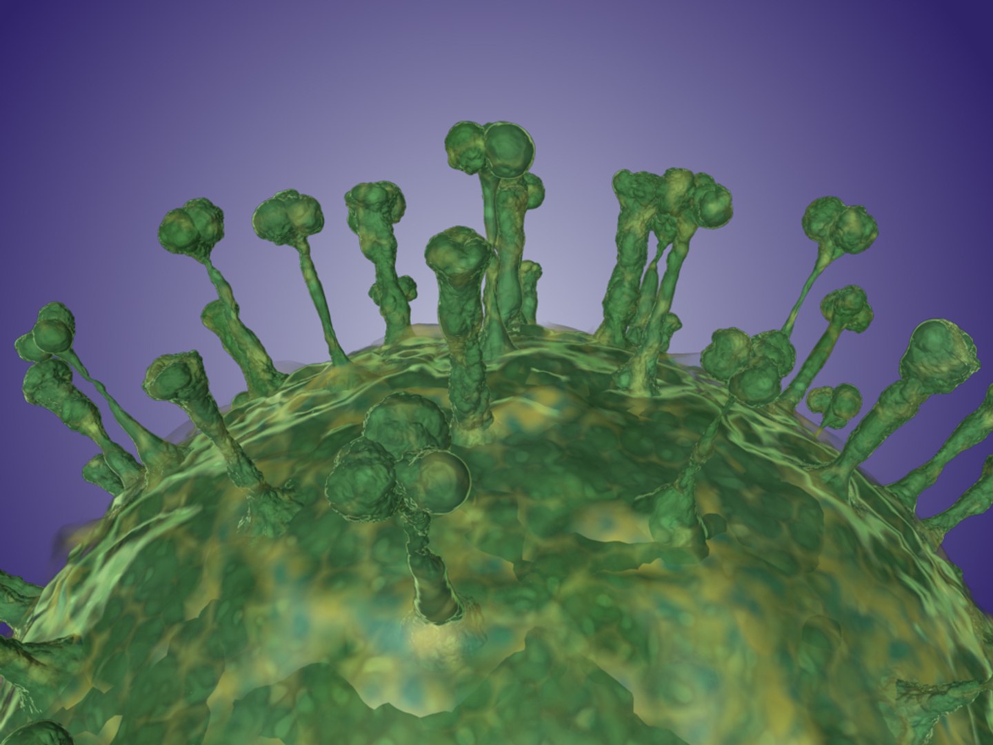 3d Model Influenza Virus Cell Flu