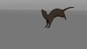 Free 3D Animal Rig Models - Available For Download On TurboSquid