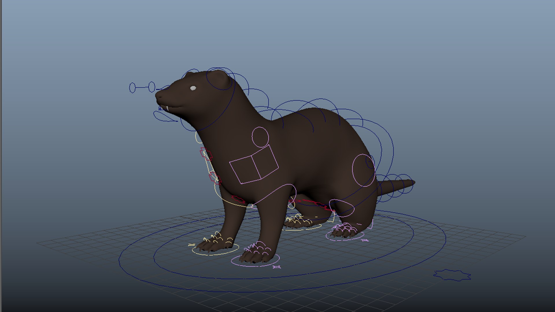 Free Ferret Rig Free 3D - TurboSquid 1925757