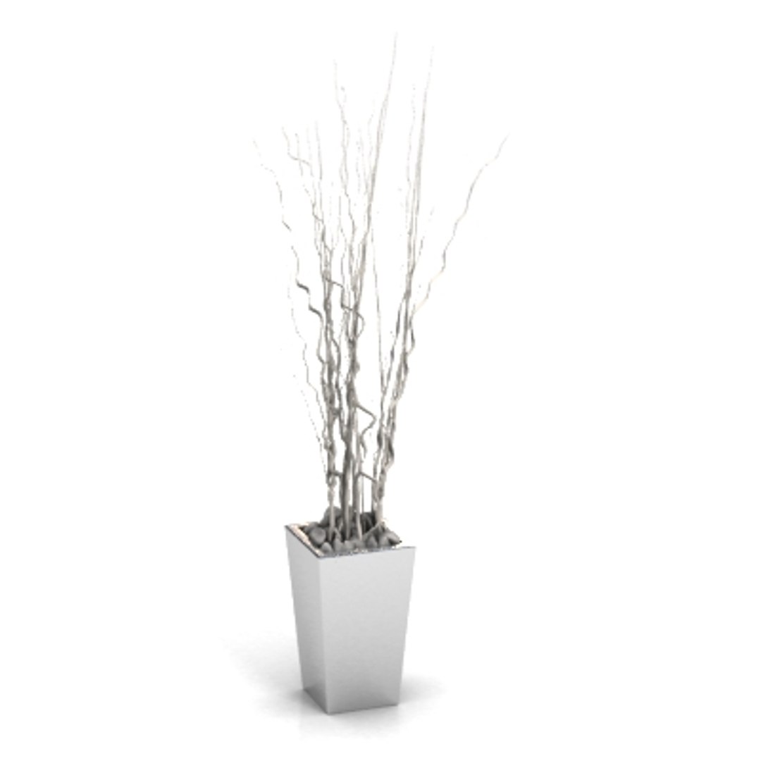 3d Contorted Willow Model