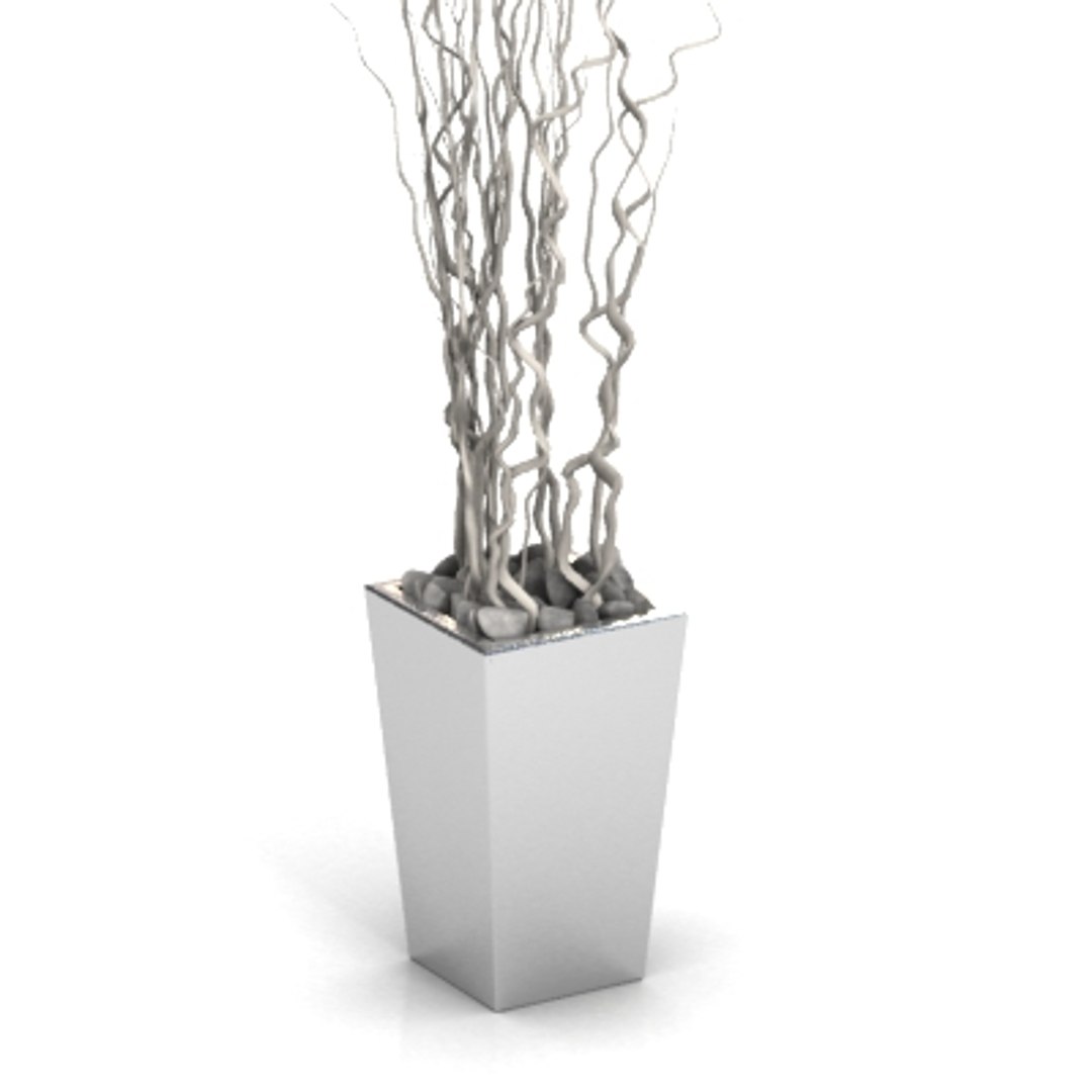 3d Contorted Willow Model