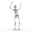 3d Model Human Female Skeleton Rigged