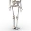 3d Model Human Female Skeleton Rigged