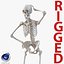 3d Model Human Female Skeleton Rigged