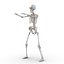 3d Model Human Female Skeleton Rigged