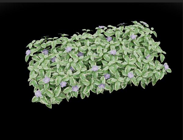 蓝绿色植物与小花模型3D模型 - TurboSquid 2379242