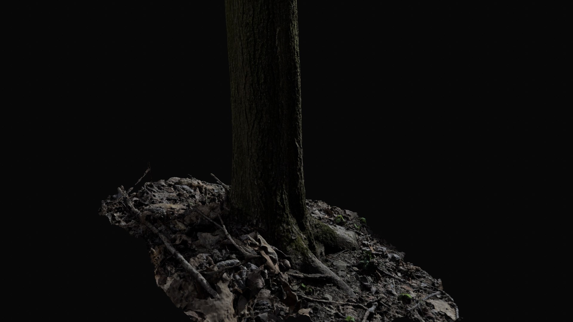 3D Tree Root In The Ground Model - TurboSquid 2063400