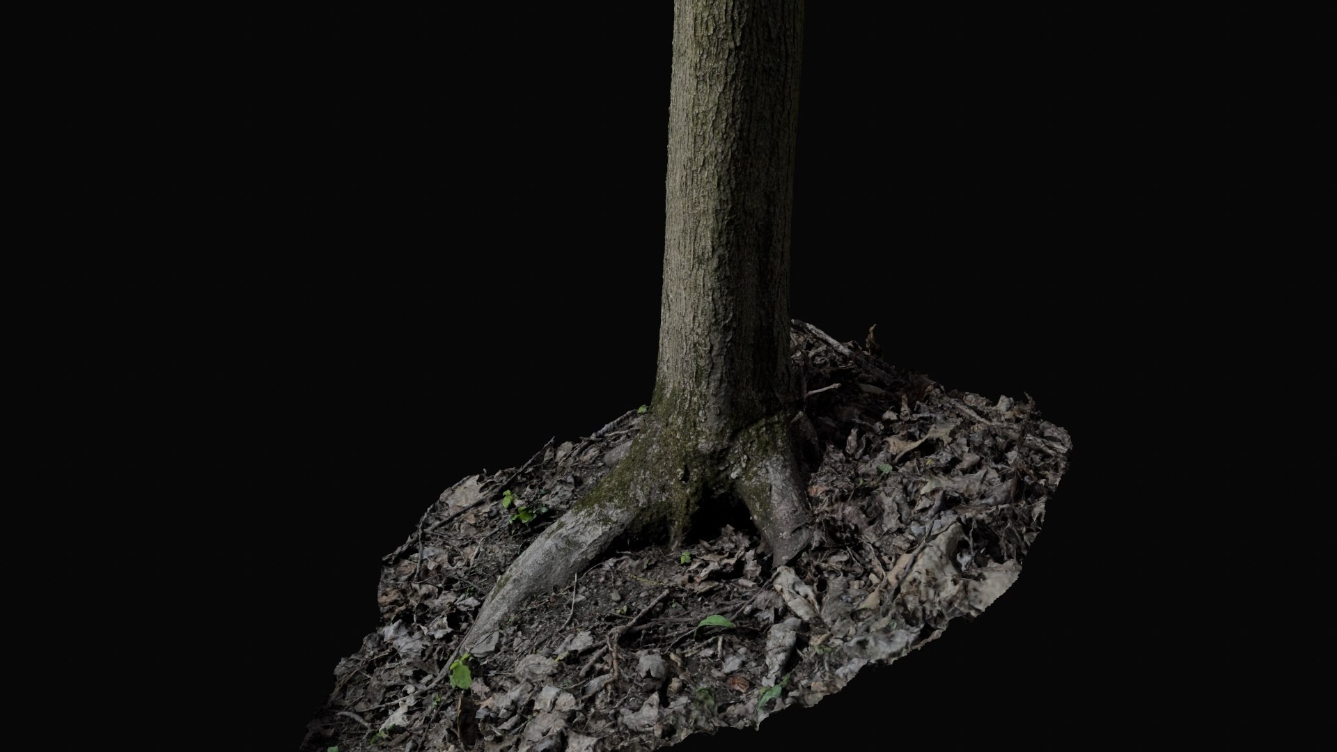3D Tree Root In The Ground Model - TurboSquid 2063400